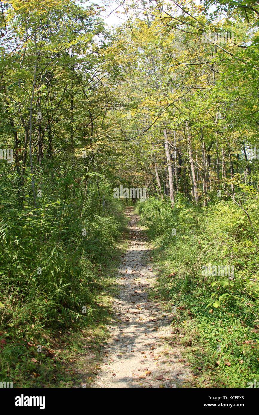 Some of the landscapes plants and trails of southwest Ohio Stock Photo ...