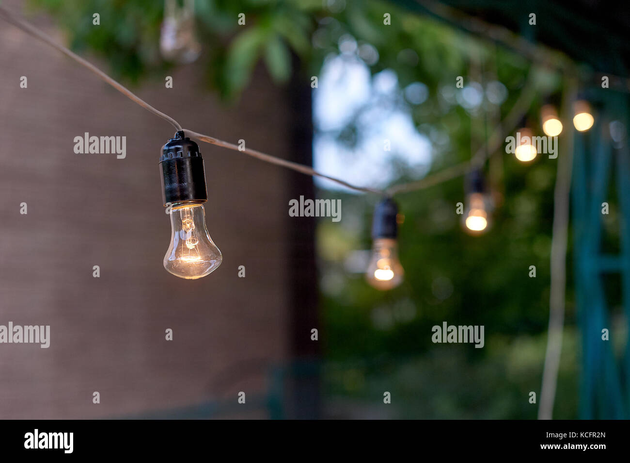 Decorative outdoor string lights hanging on tree in the garden in ...