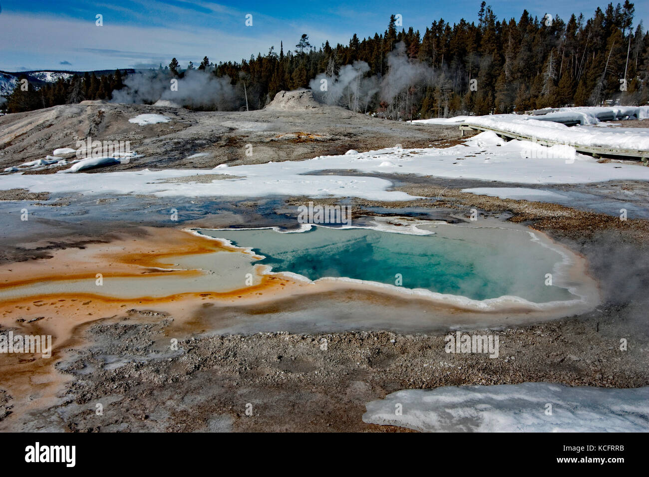 Colorful thermal spring with steaming geysers in the background of this ...