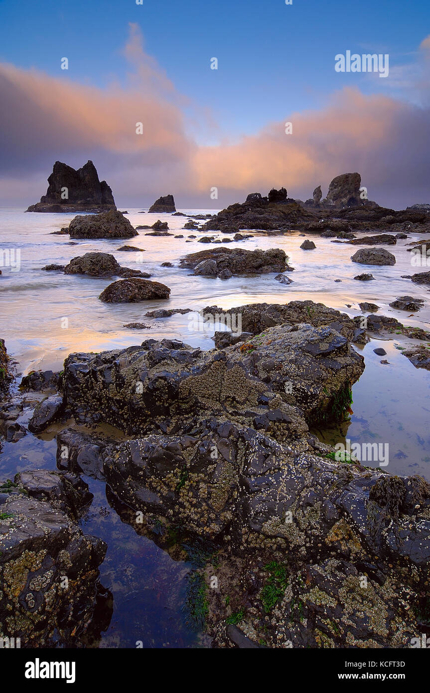 Ecola State Park, Oregon coast, USA Stock Photo - Alamy