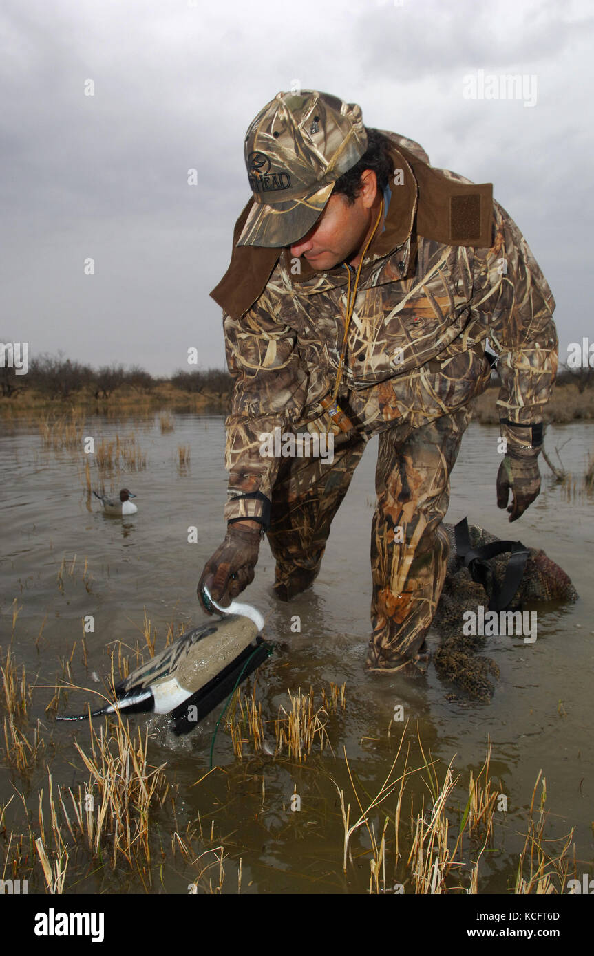 A duck hunter in camouflage sets out his hunting decoys in a South ...