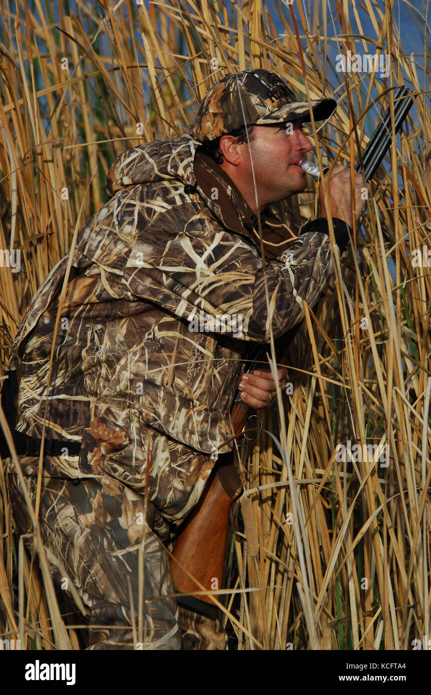 A duck hunter in camouflage calls ducks from a marsh in South Texas ...