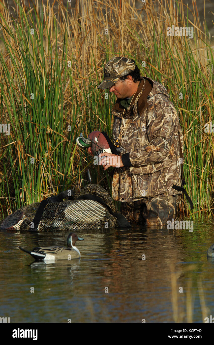 A duck hunter in camouflage sets out his hunting decoys in a South ...