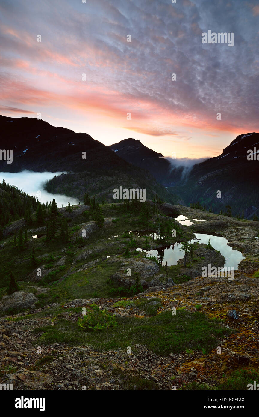 Stratchona hi-res stock photography and images - Alamy