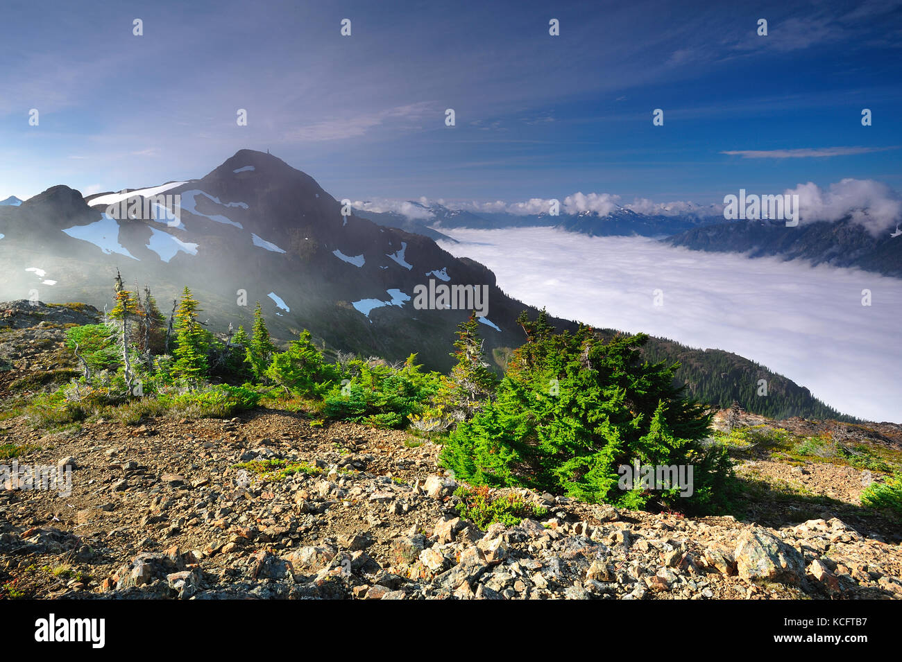 Stratchona hi-res stock photography and images - Alamy