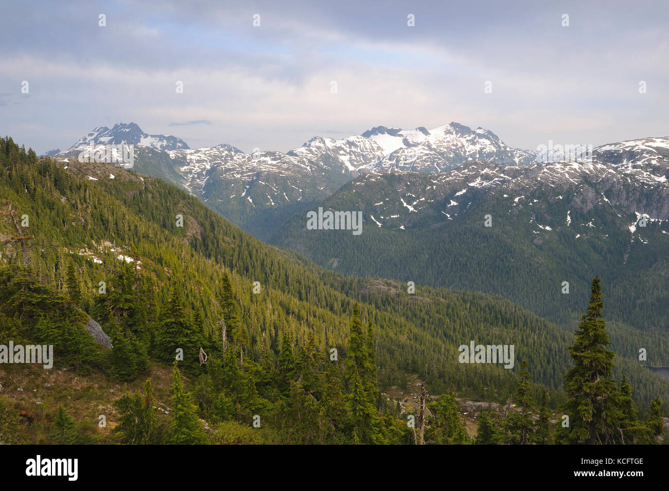 Strathcona Provincial Park, Vancouver Island, BC, Canada Stock Photo ...