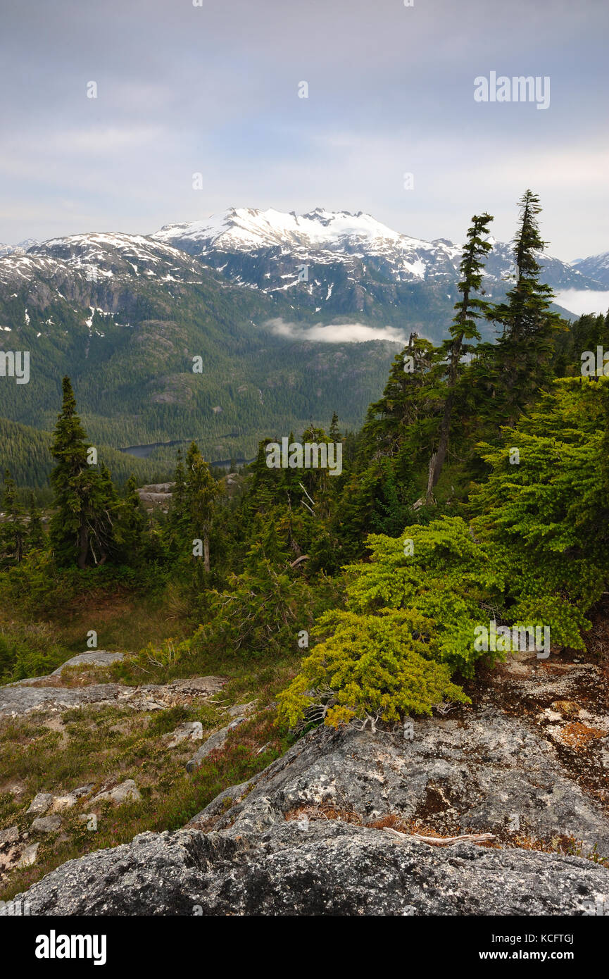 Strathcona Provincial Park, Vancouver Island, BC Canada Stock Photo - Alamy