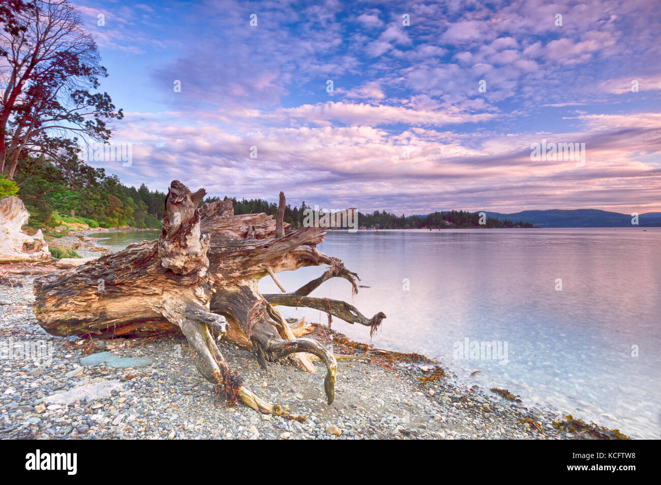 Patricia Bay, North Saanich, Vancouver Island, British Columbia , Canada Stock Photo - Alamy