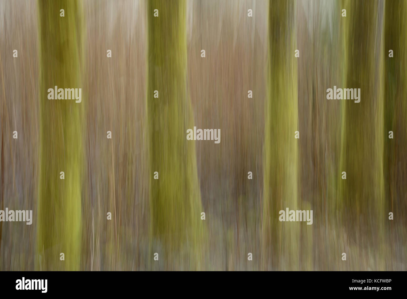 Camera painting at avatar grove hi-res stock photography and images - Alamy