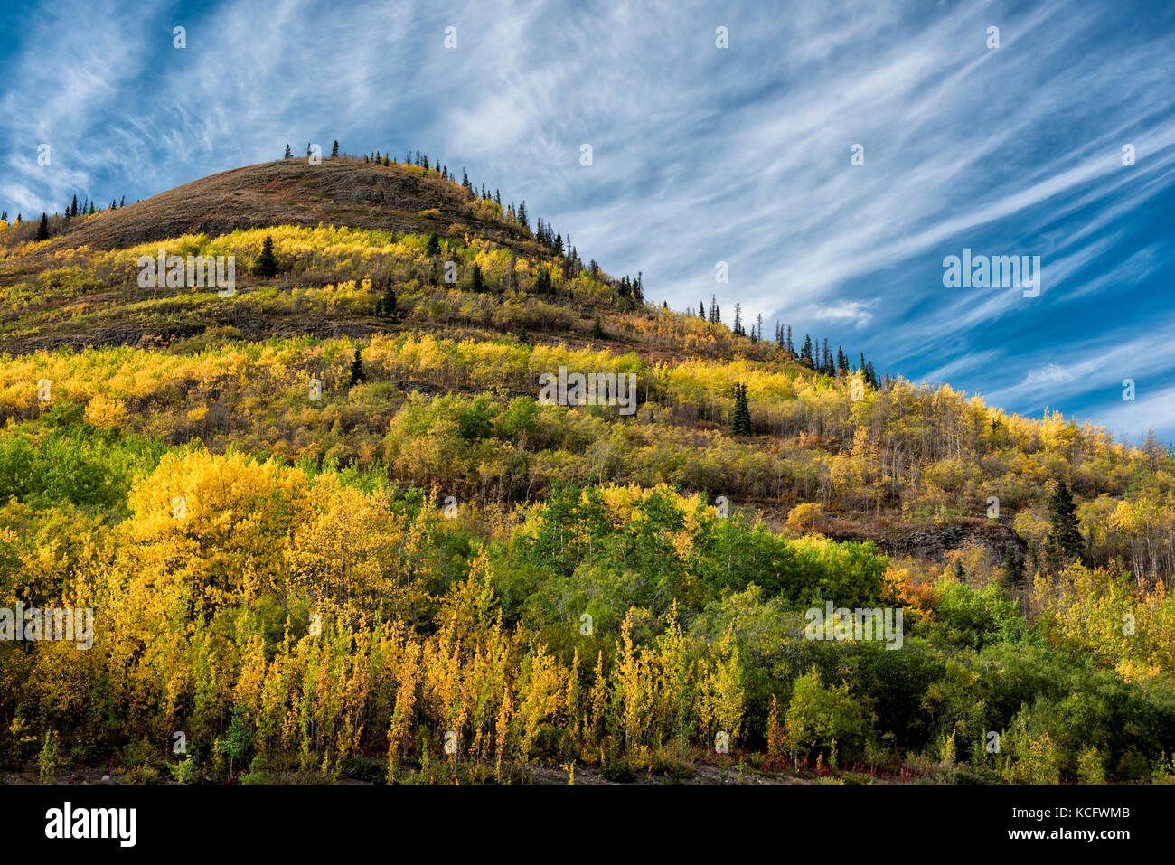 Fall colours Kluane National Park, Yukon, Canada Stock Photo - Alamy