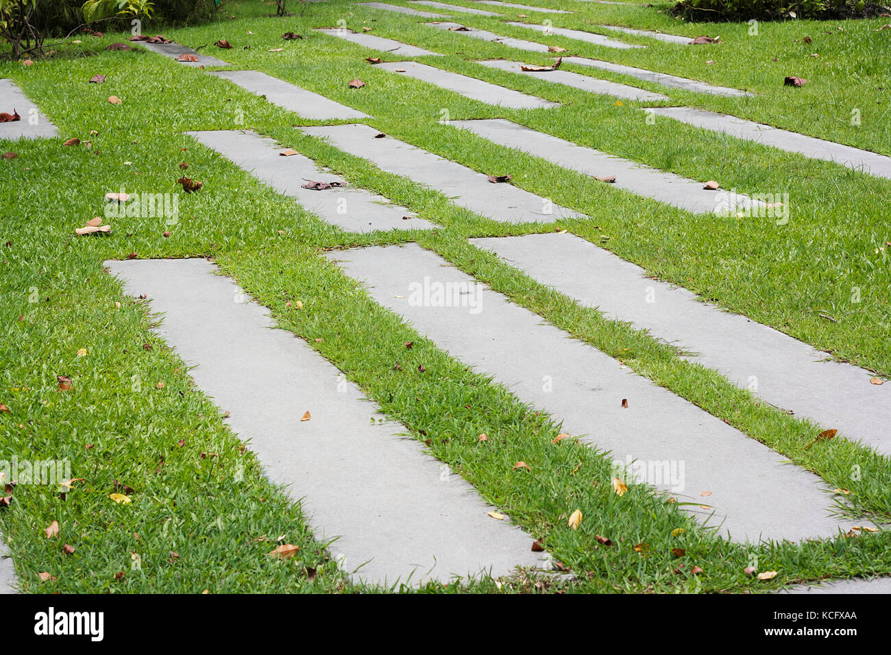 Pathway in park Stock Photo - Alamy