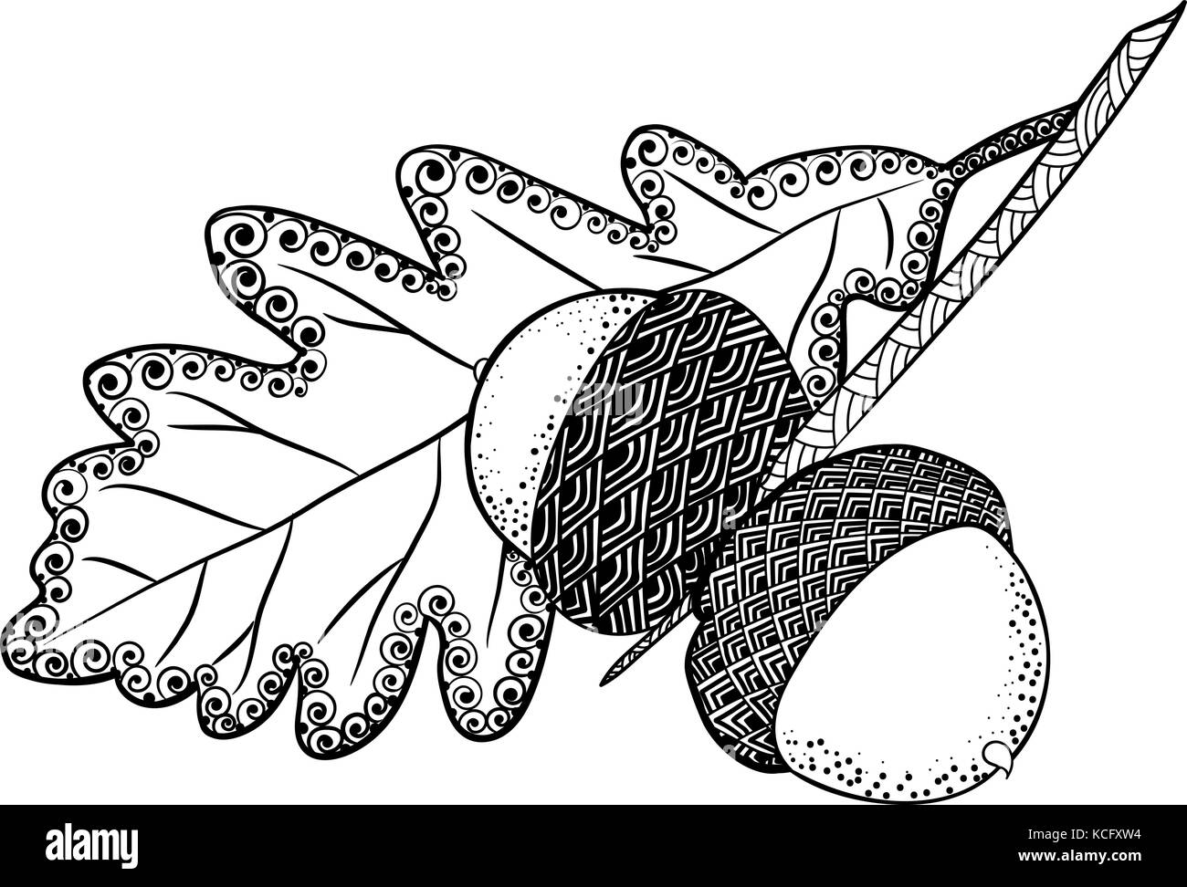 Autumn leaf oak leaf Black and White Stock Photos & Images - Alamy