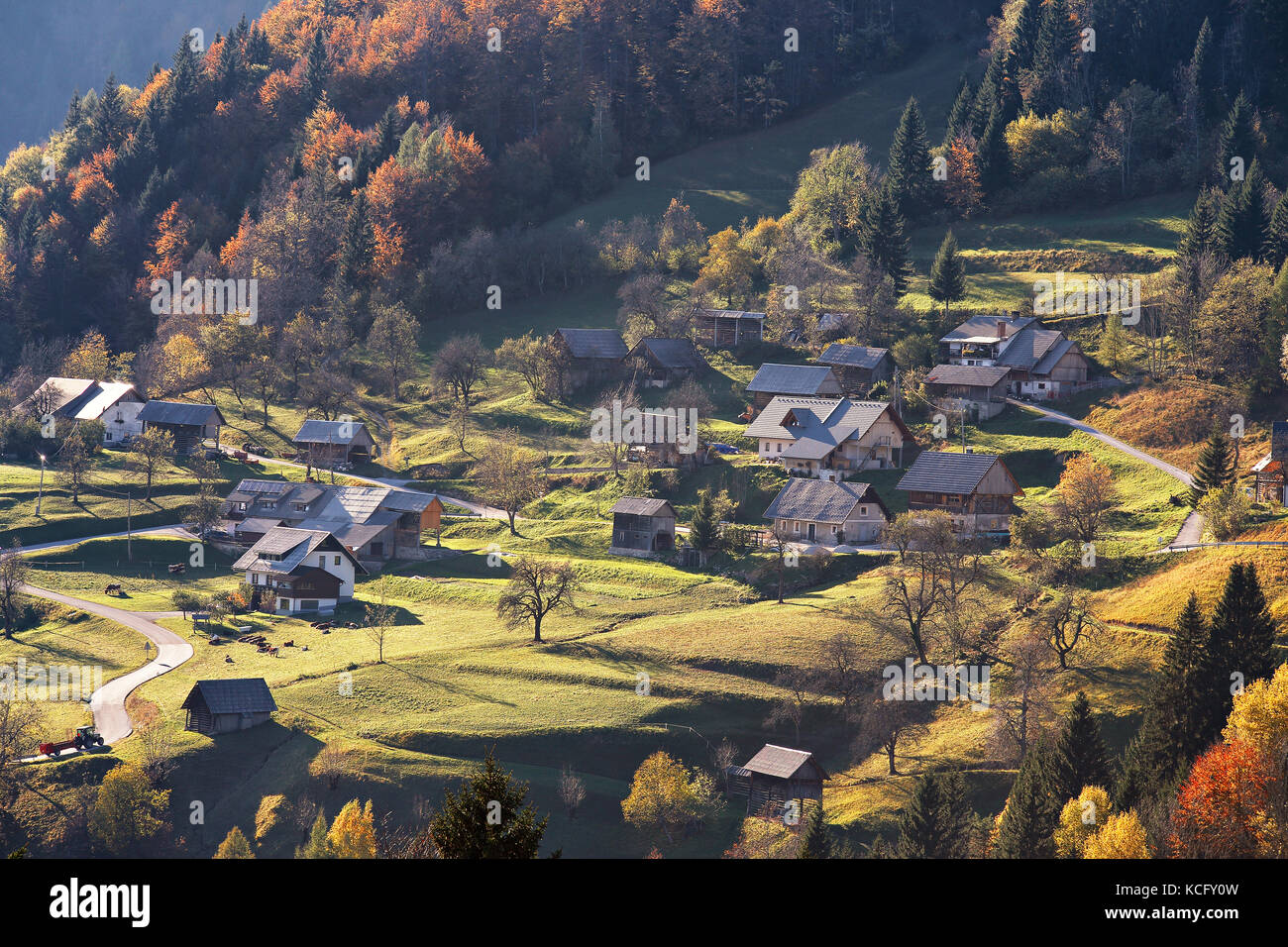 Mountain Slovenia, Mountain village in Alps, houses on the hills in ...