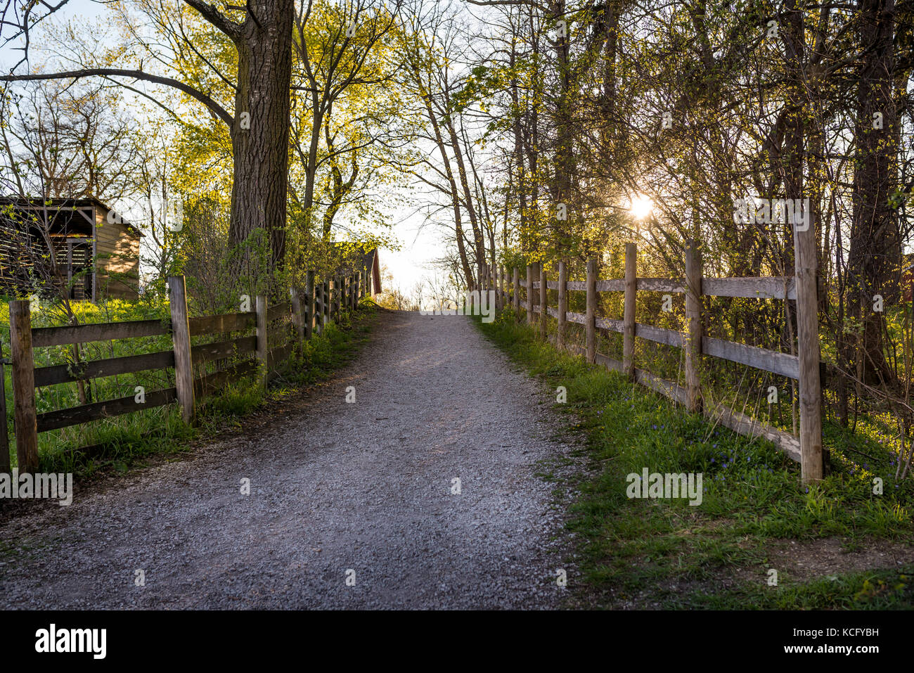 Scenic forest trail walk hi-res stock photography and images - Alamy