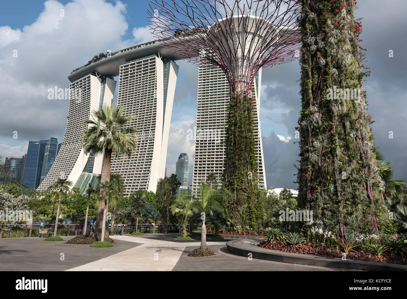 Some of the 18 man-made solar-powered supertrees in Supertree Grove ...