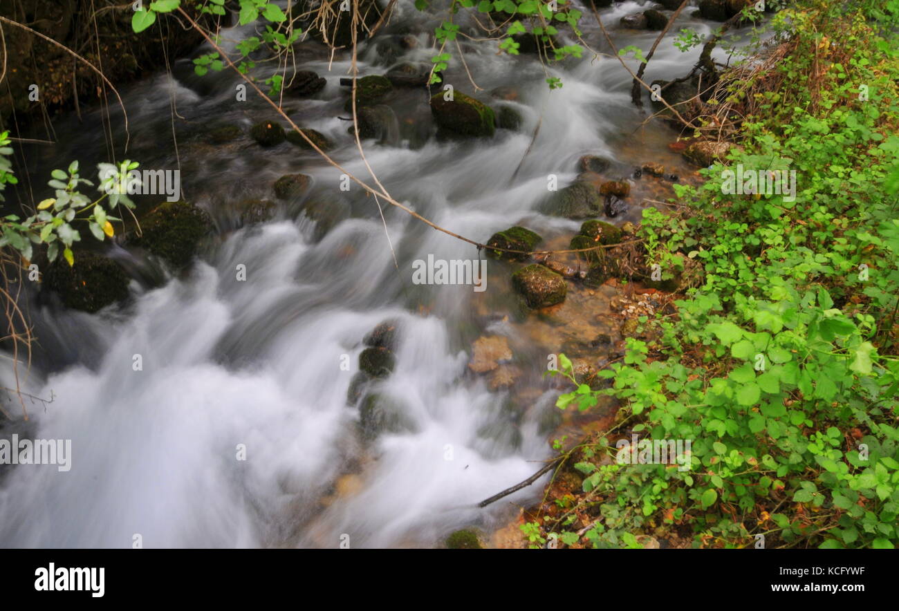 Dan River flowing, Northern Israel during spring Stock Photo - Alamy