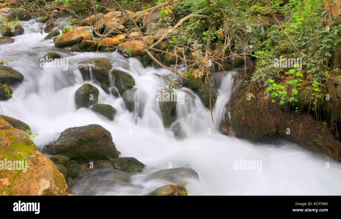 Dan River flowing, Northern Israel during spring Stock Photo - Alamy