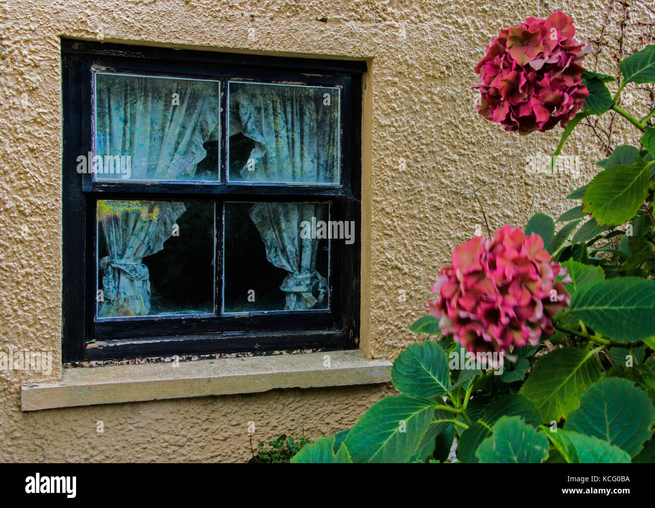 A neglected property Stock Photo - Alamy