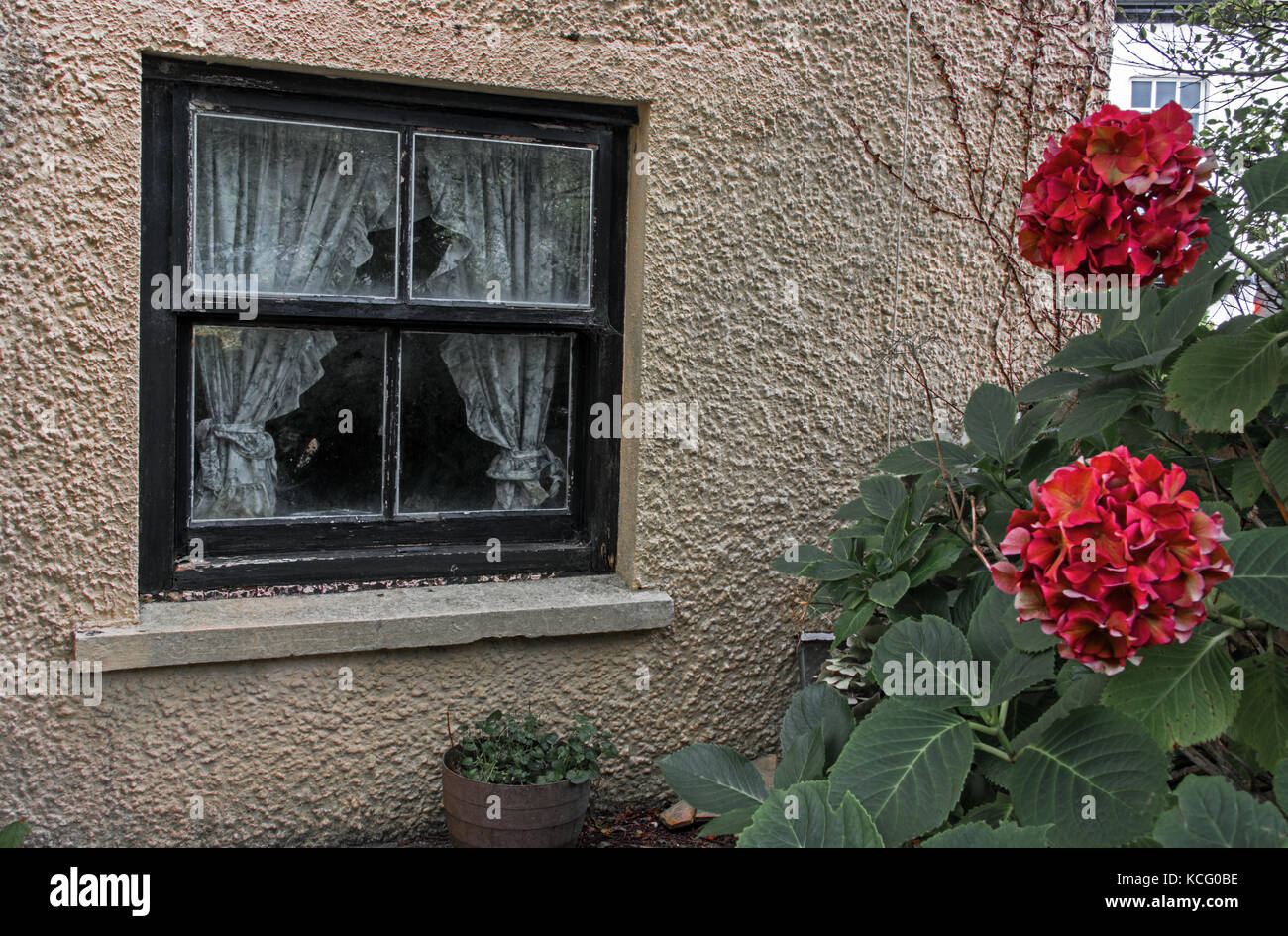 A neglected property Stock Photo - Alamy