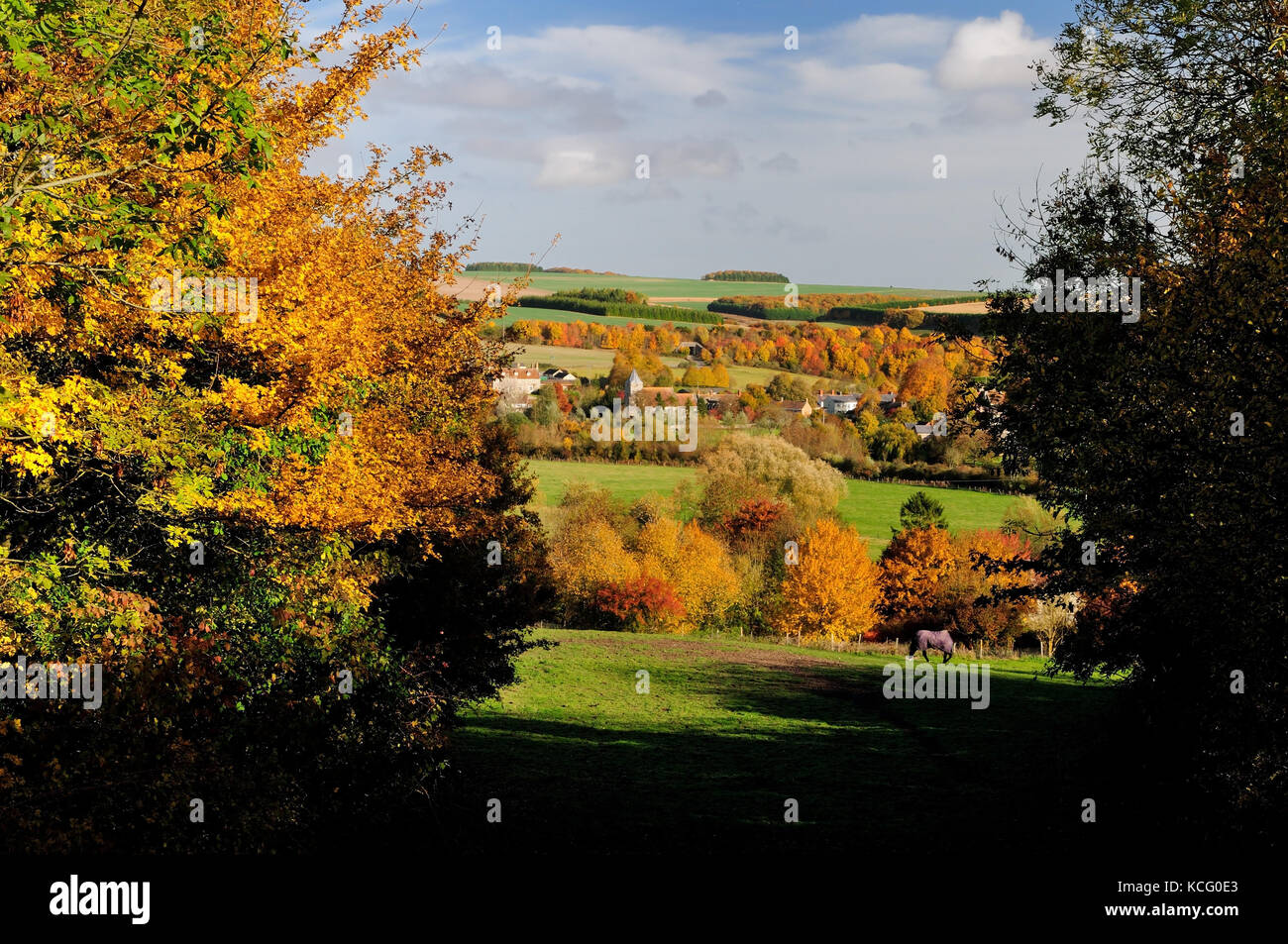 Wylye valley wiltshire countryside hi-res stock photography and images ...