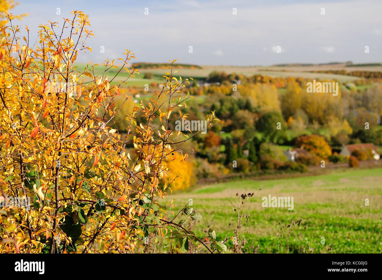 Autumn colours in the Wylye Valley Stock Photo - Alamy