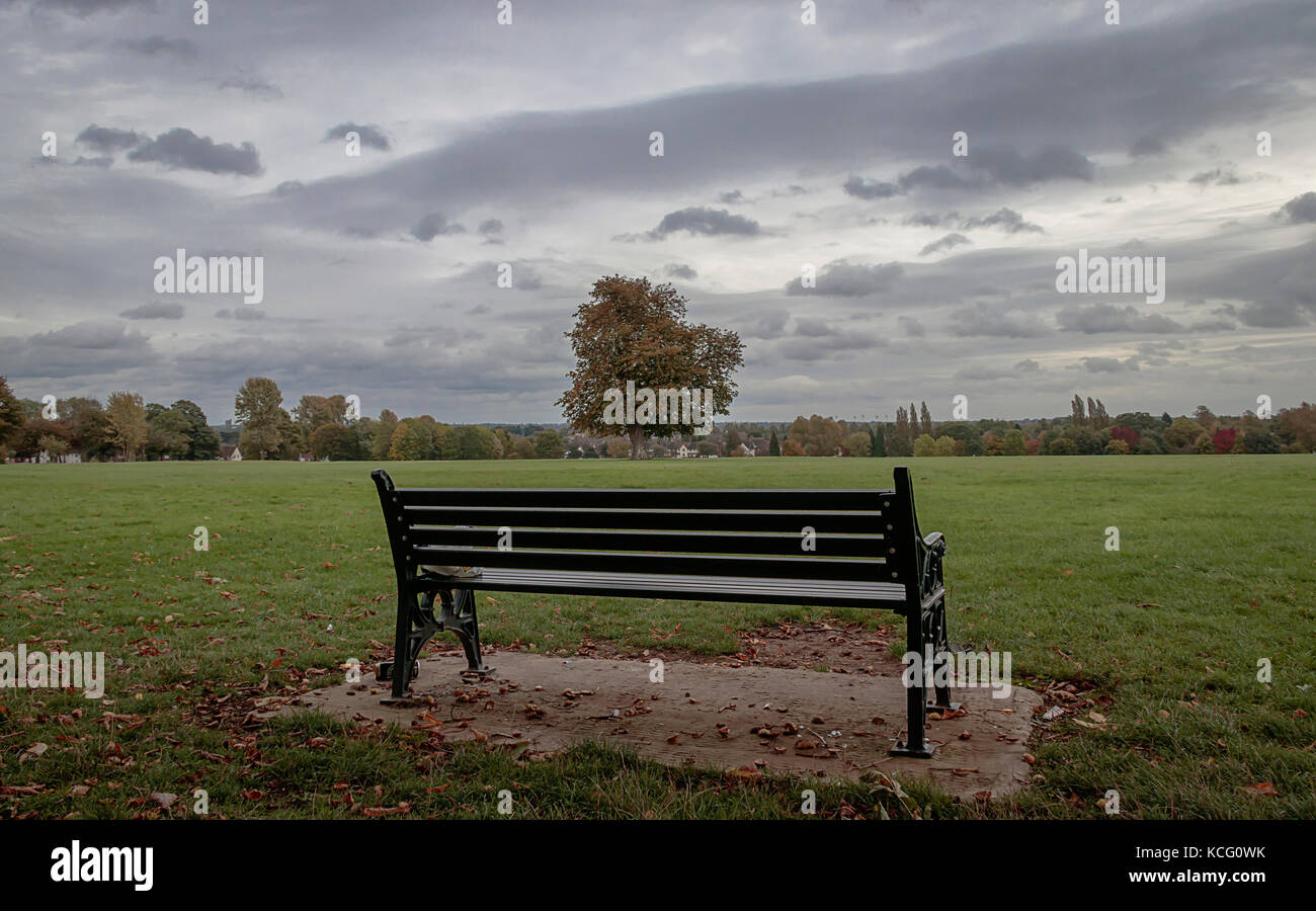 Bench In Braunstone Park, Leicester Stock Photo - Alamy