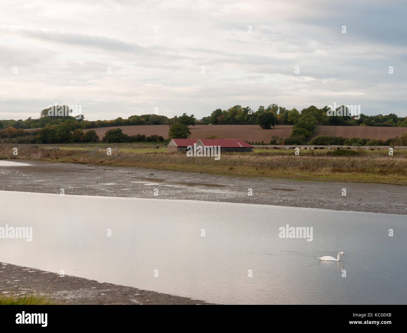 lake river through countryside with farm house roof agriculture scene ...