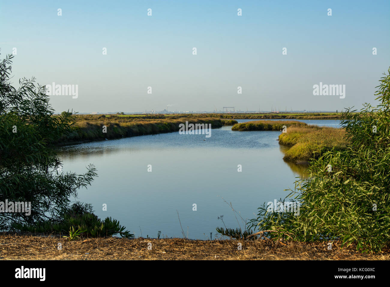 view of the river sado estuary in Comporta, Alentejo Portugal Stock ...