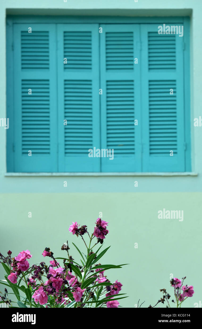 a pair of turquoise or light blue shutters covering a window on a ...