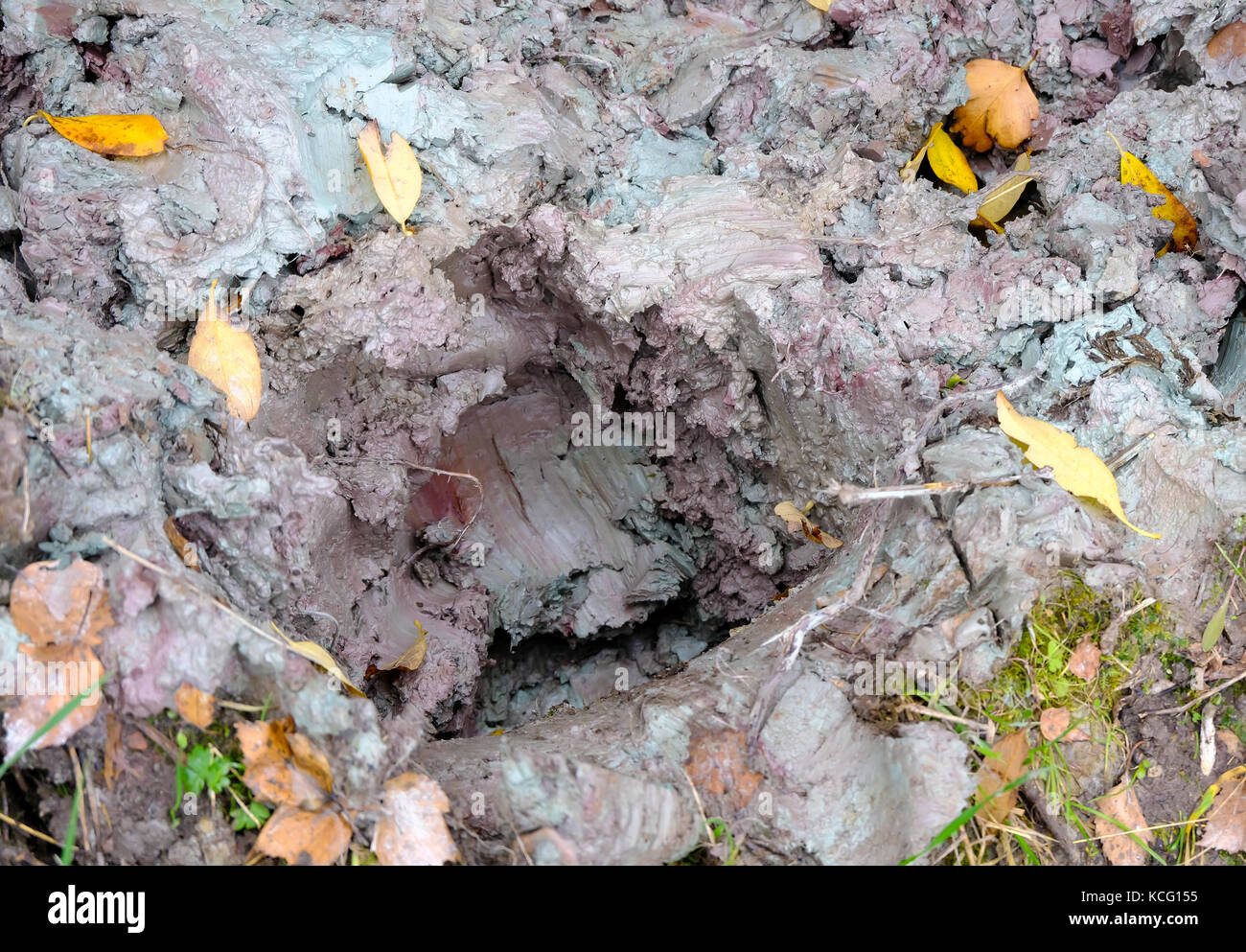 Natural multi-colored clay or mud on the surface of the earth. It is ...