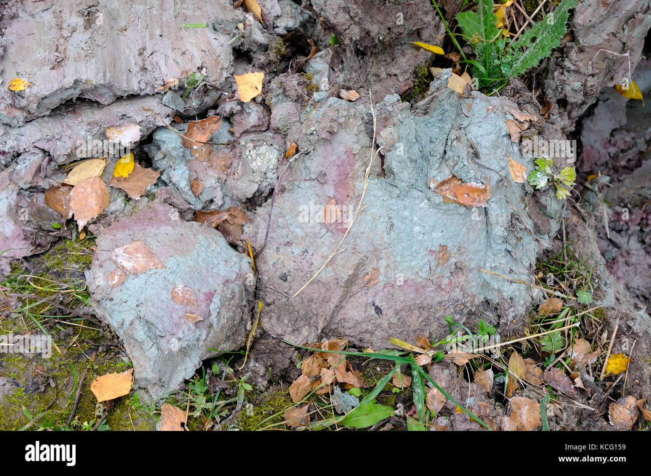 Natural multi-colored clay or mud on the surface of the earth. It is ...