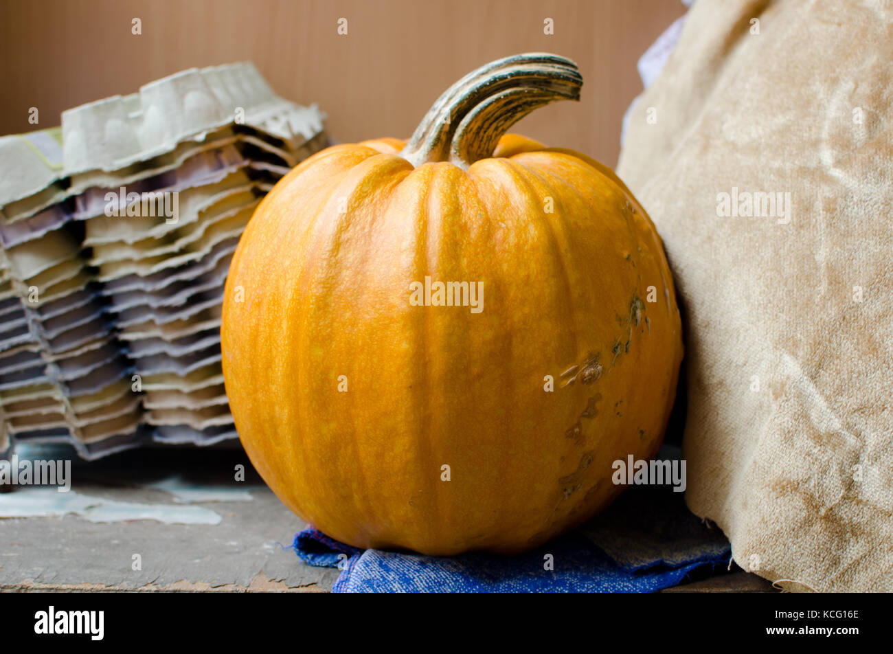 pumpkin and cardboard box for eggs Stock Photo - Alamy