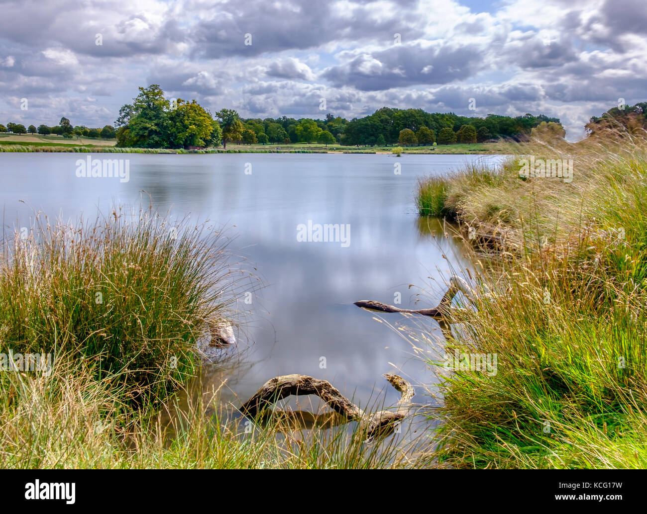 Pond and long grass hi-res stock photography and images - Alamy