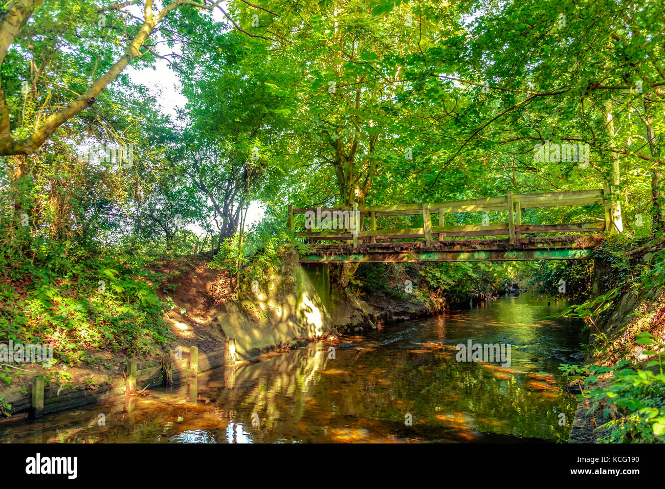 Wimbledon common hi-res stock photography and images - Alamy