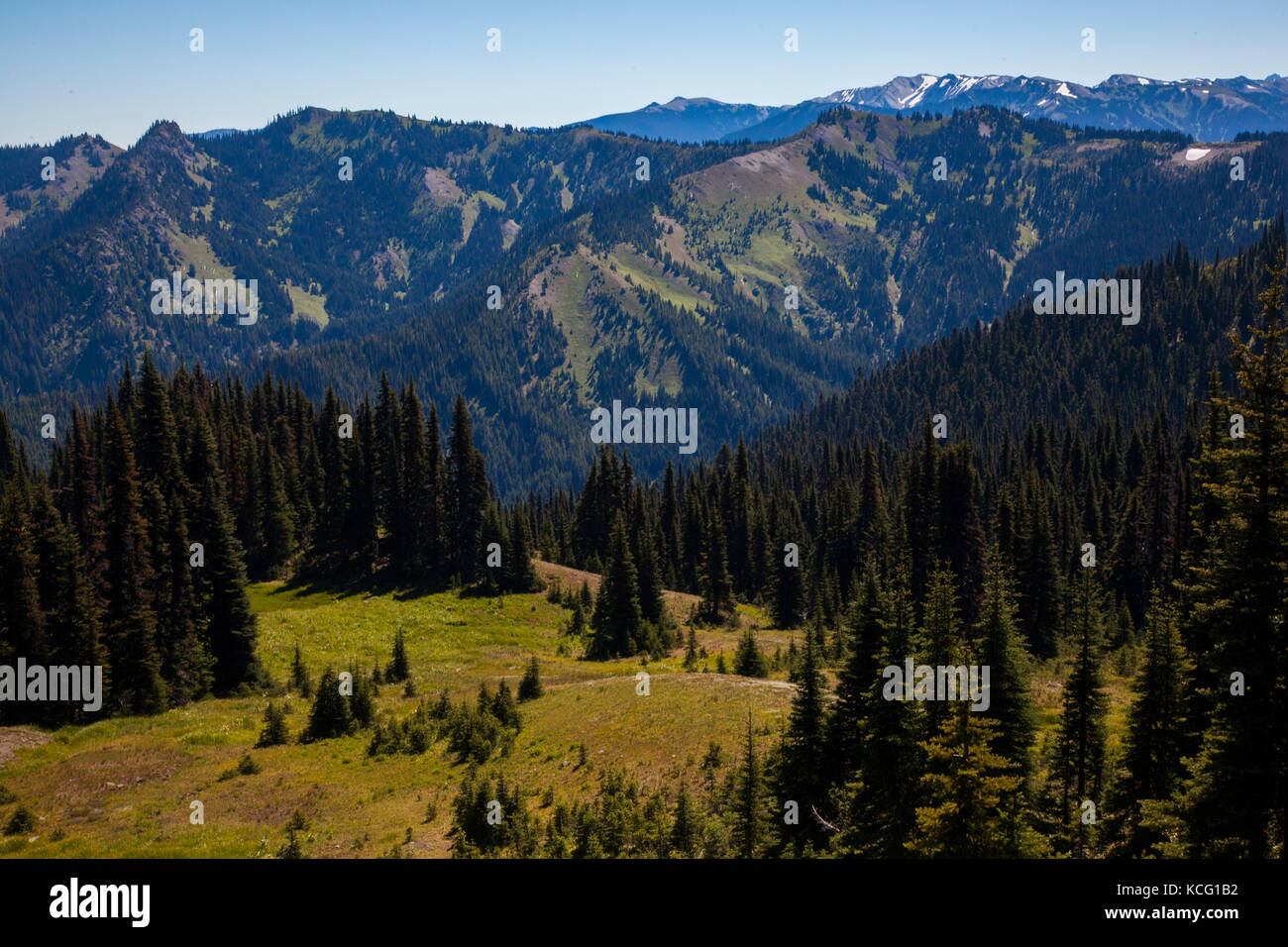 Hiker enjoys the view of the Olympic mountain range seen in Olympic ...