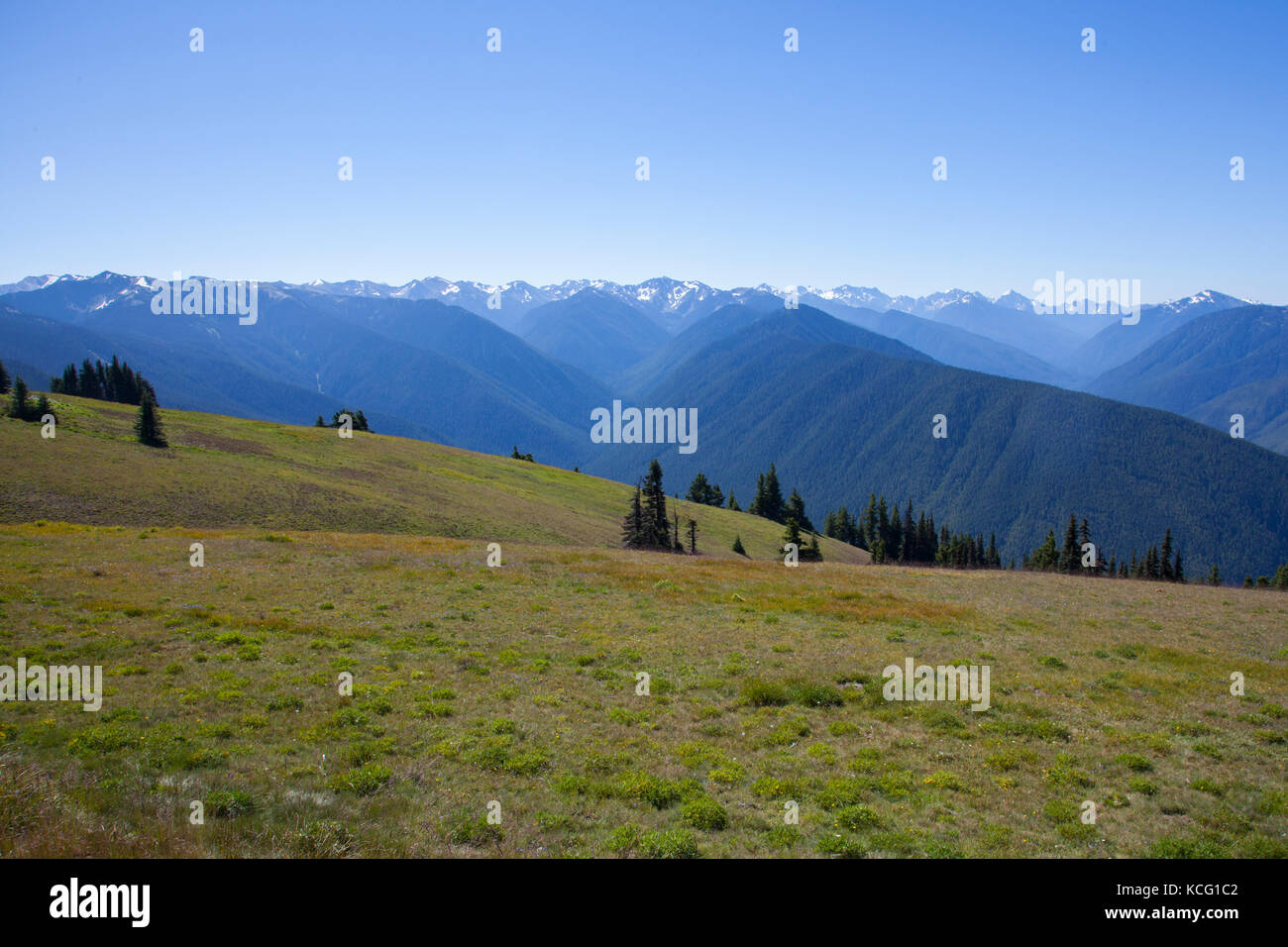 Hiker enjoys the view of the Olympic mountain range seen in Olympic ...