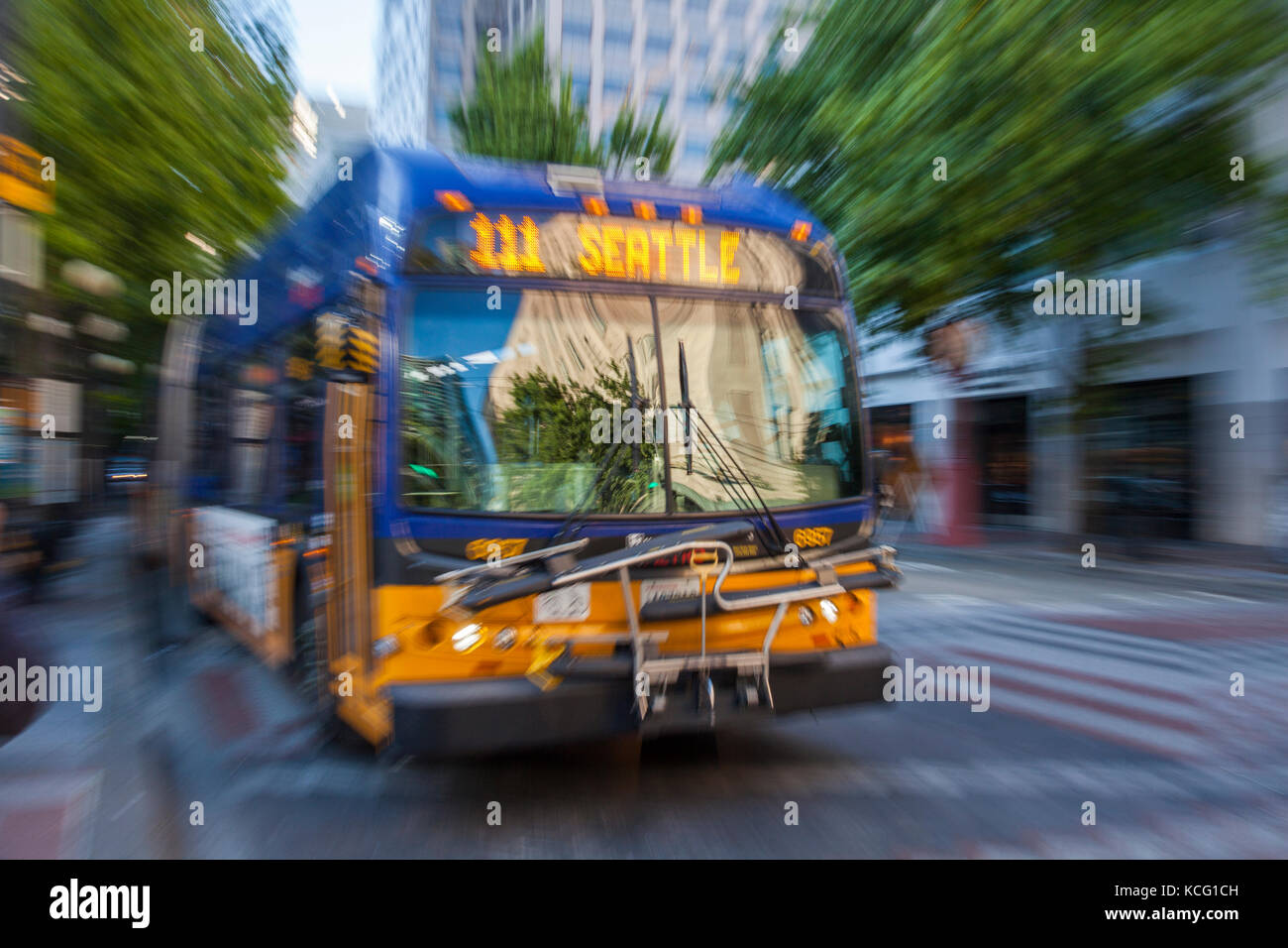 Seattle Washington public bus system on streets and roads with ...