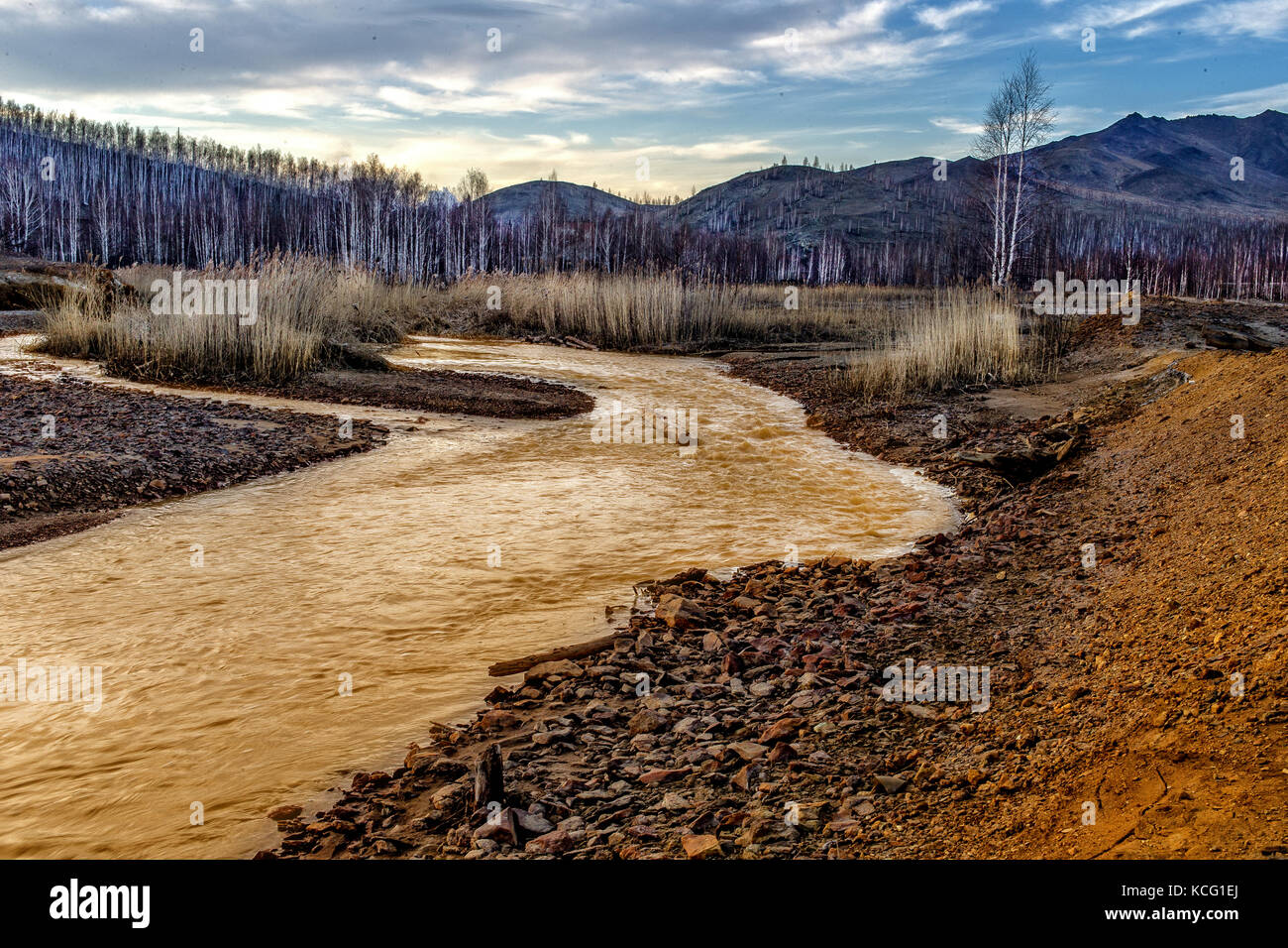 Yellow river with red-yellow acid stones. Yellow tinted river by copper ...