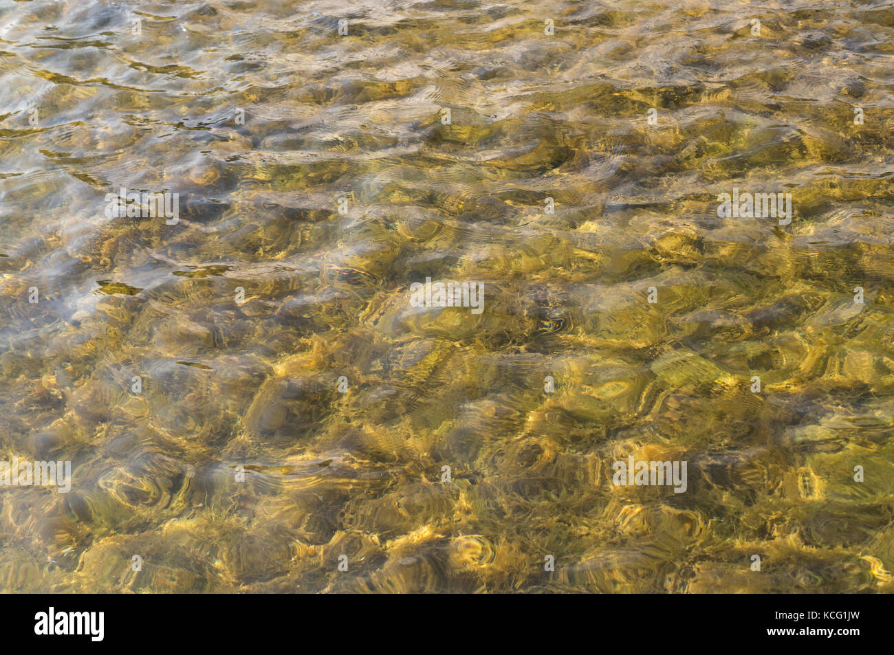 texture of water in tiled pool, fountain. background, nature Stock ...