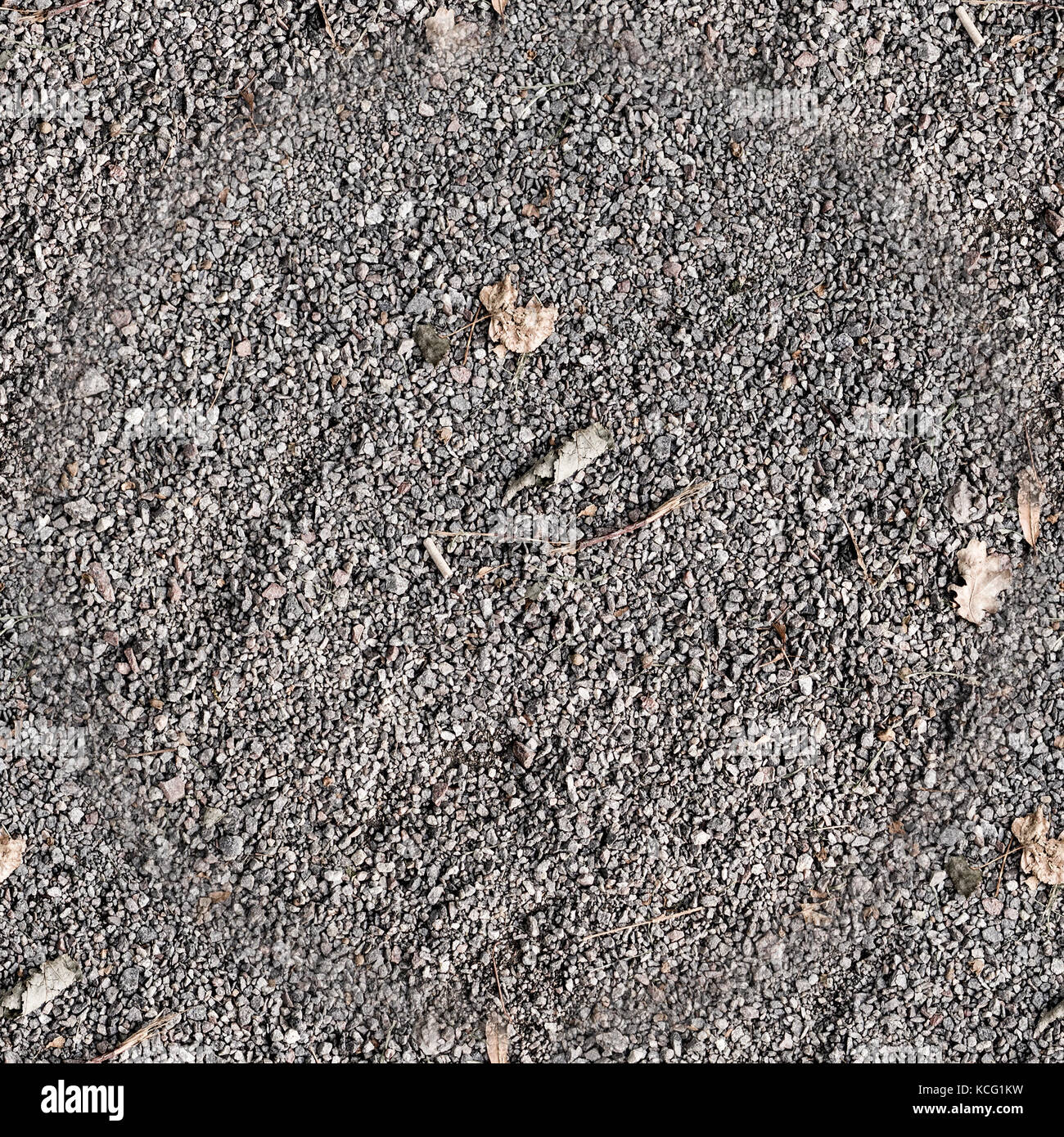 seamless gray grainy sandy ground with leaves. background, texture ...