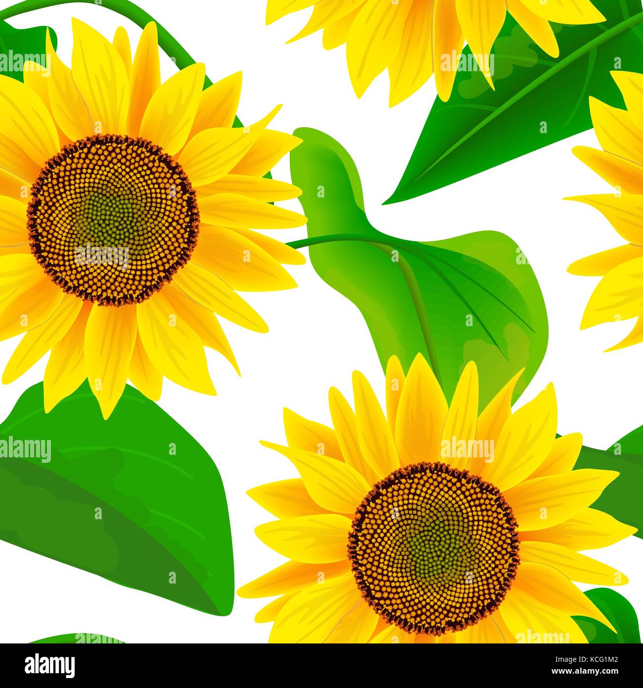 Sunflowers embroidery Stock Vector Images - Alamy