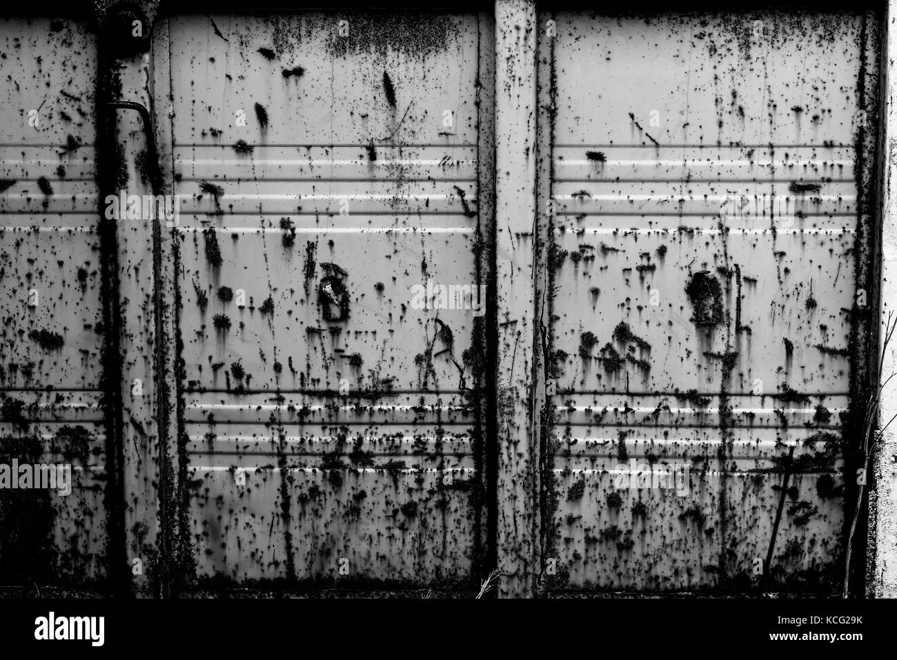 The texture of the metal doors Stock Photo - Alamy