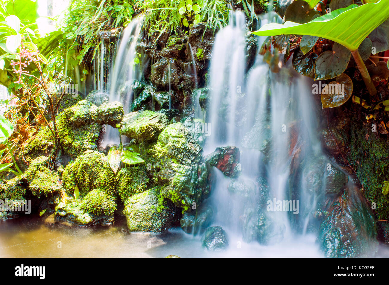 Water feature, Botanical Gardens, Singapore Stock Photo - Alamy