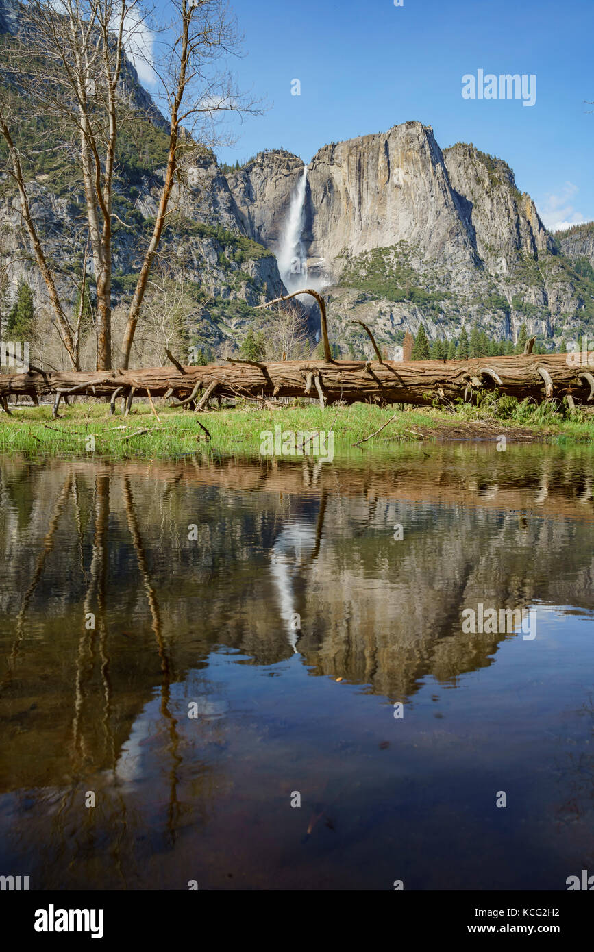 Morning view of the Upper Yosemite Fall with big icy drops and great ...