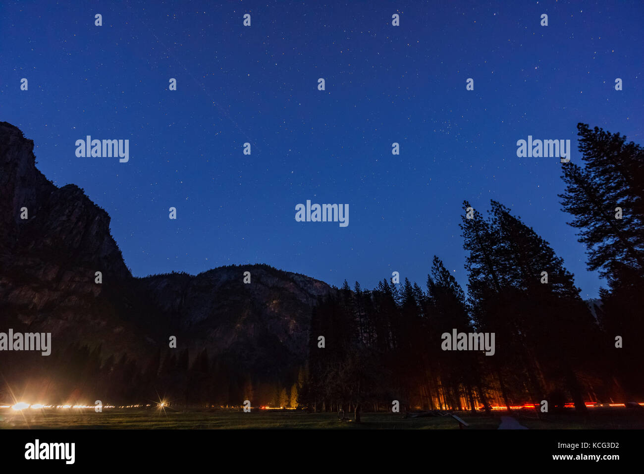 Star forest hi-res stock photography and images - Alamy