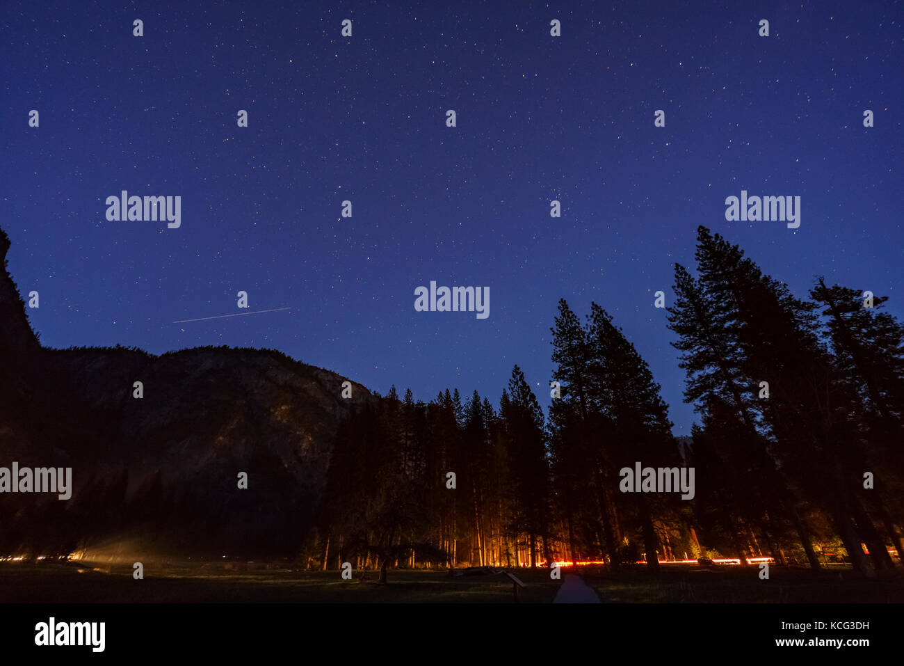 Star forest hi-res stock photography and images - Alamy