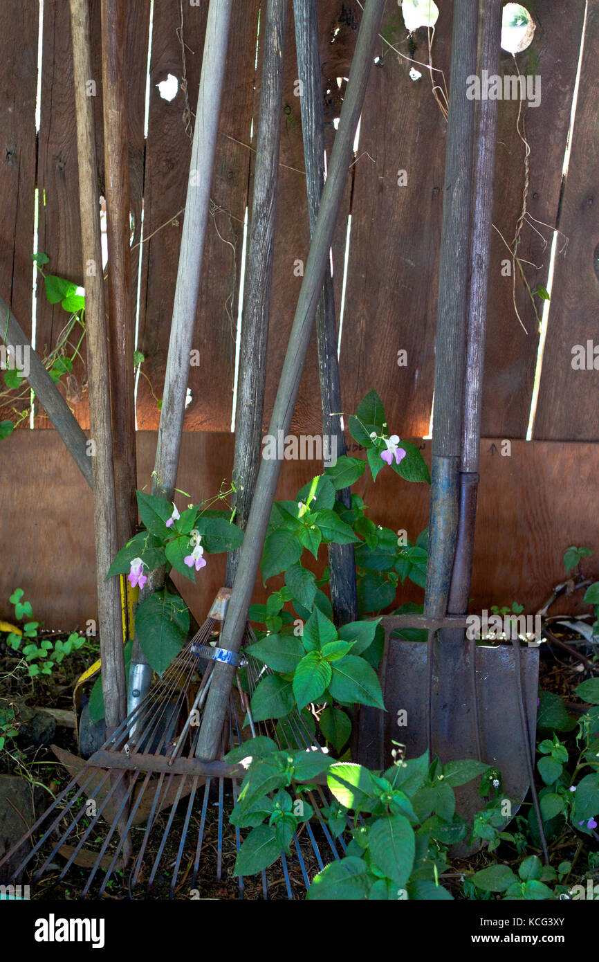 Abandoned tools in old garden Stock Photo - Alamy