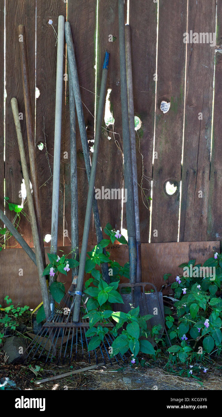 Abandoned tools in old garden Stock Photo - Alamy