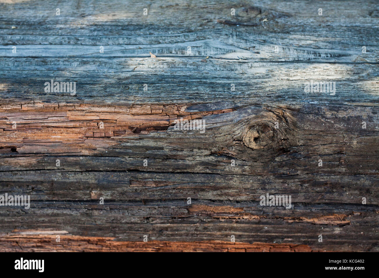 Gritty wood texture hi-res stock photography and images - Alamy