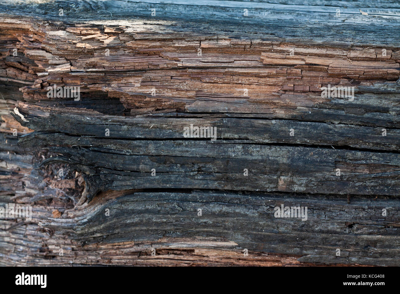 Gritty wood texture hi-res stock photography and images - Alamy